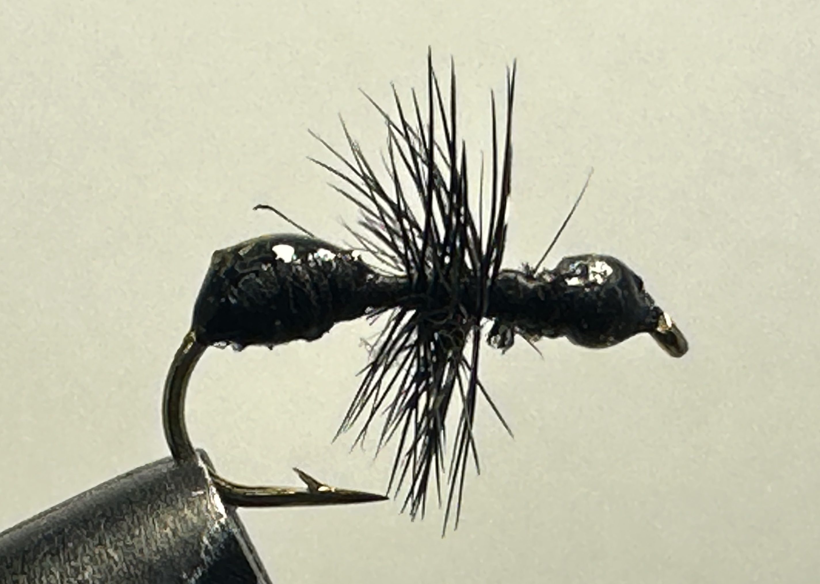 Ant, Black Hard Shell – Rocky Mountain Fly and Feather