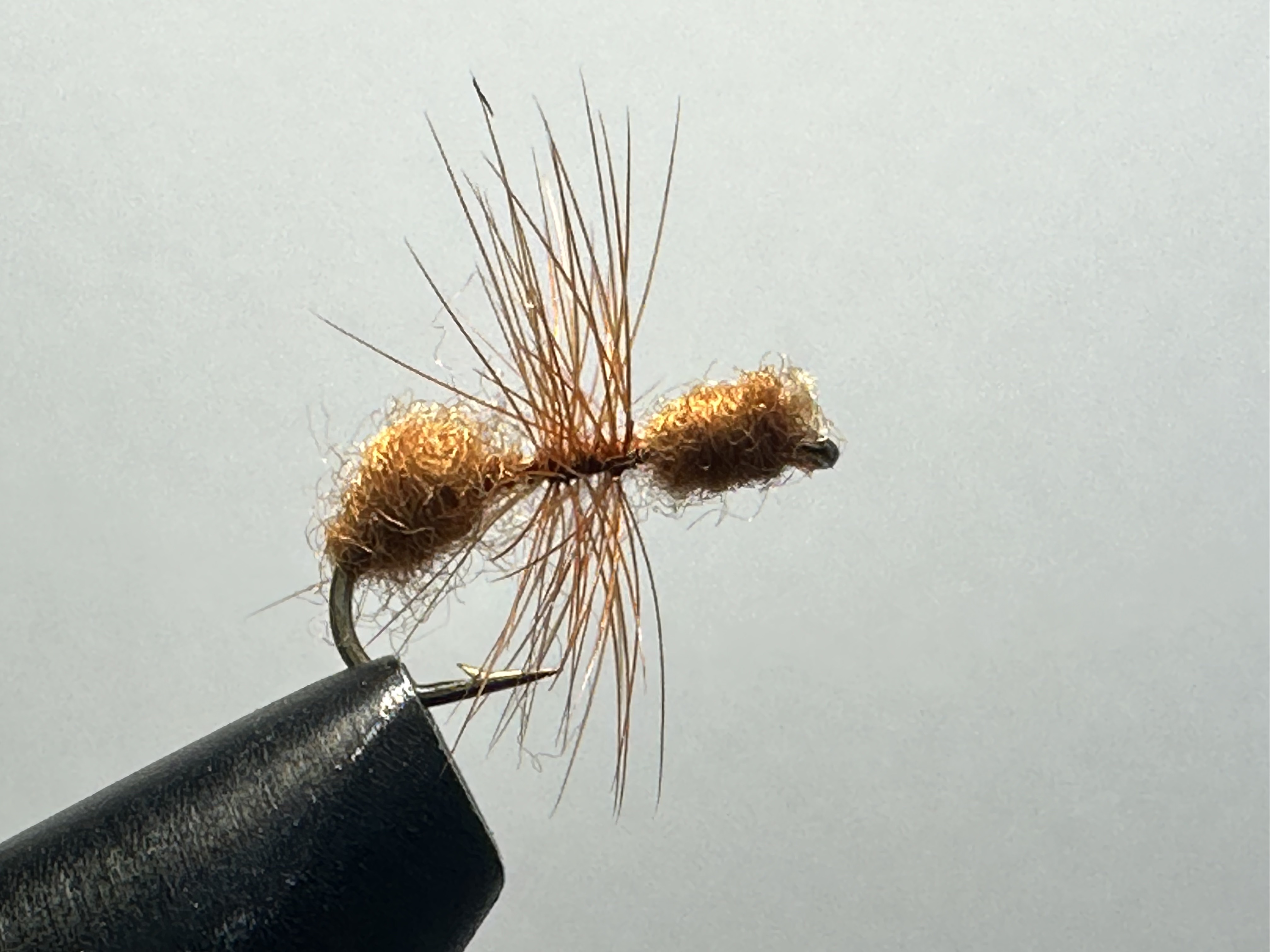 Ant – Rocky Mountain Fly and Feather