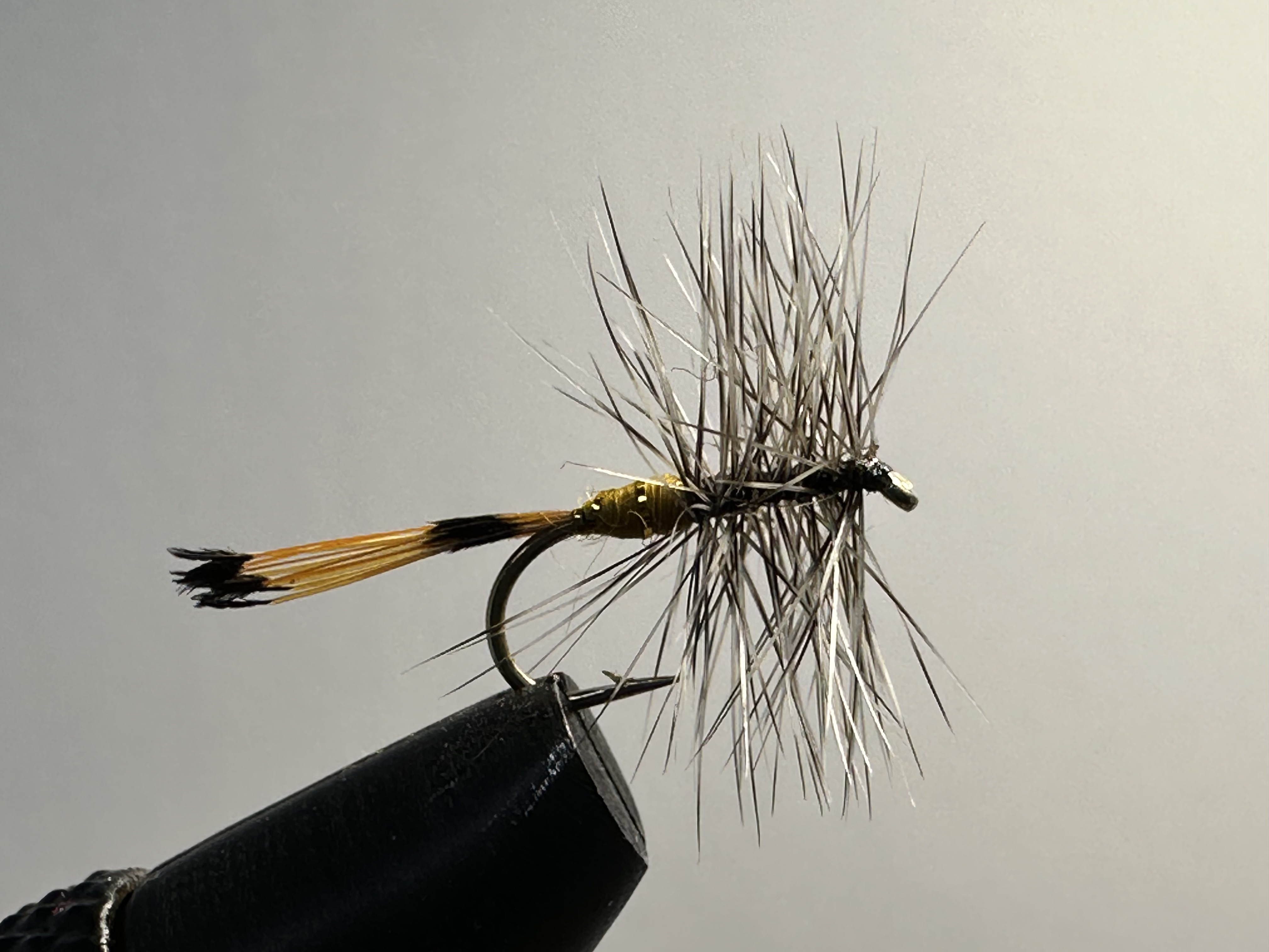 Grey Hackle – Rocky Mountain Fly and Feather