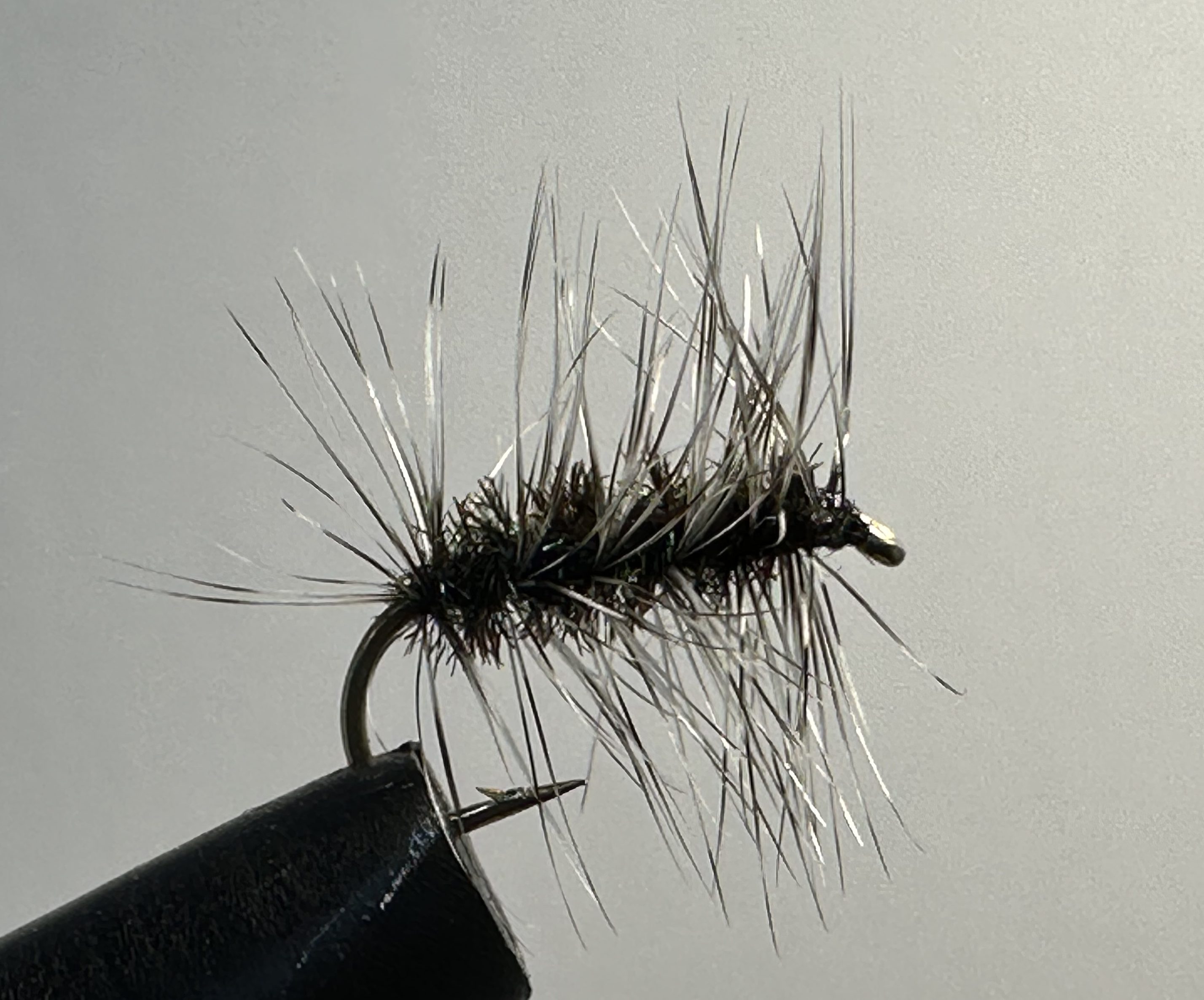 Griffith’s Gnat – Rocky Mountain Fly and Feather