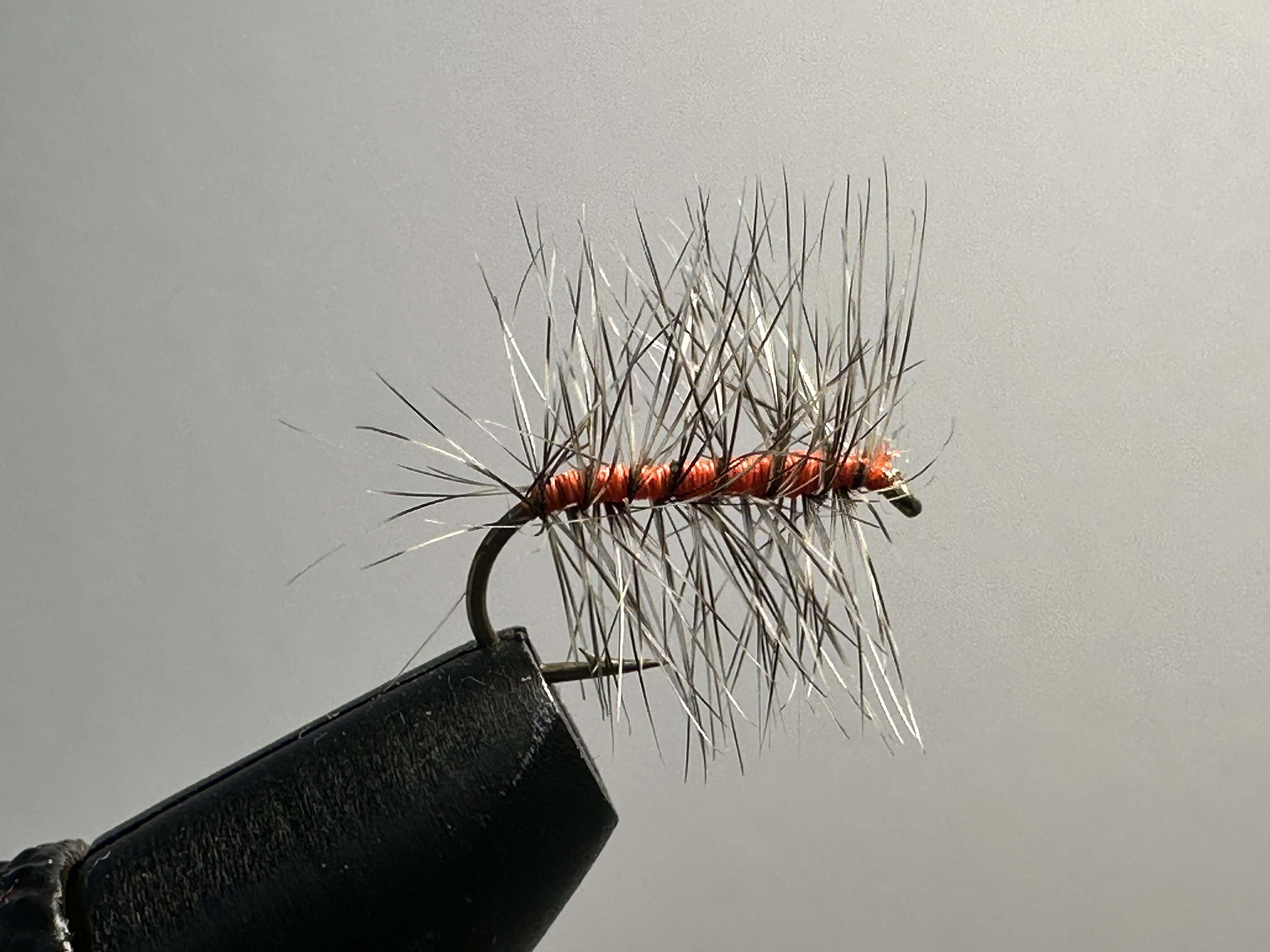 Orange Asher – Rocky Mountain Fly and Feather