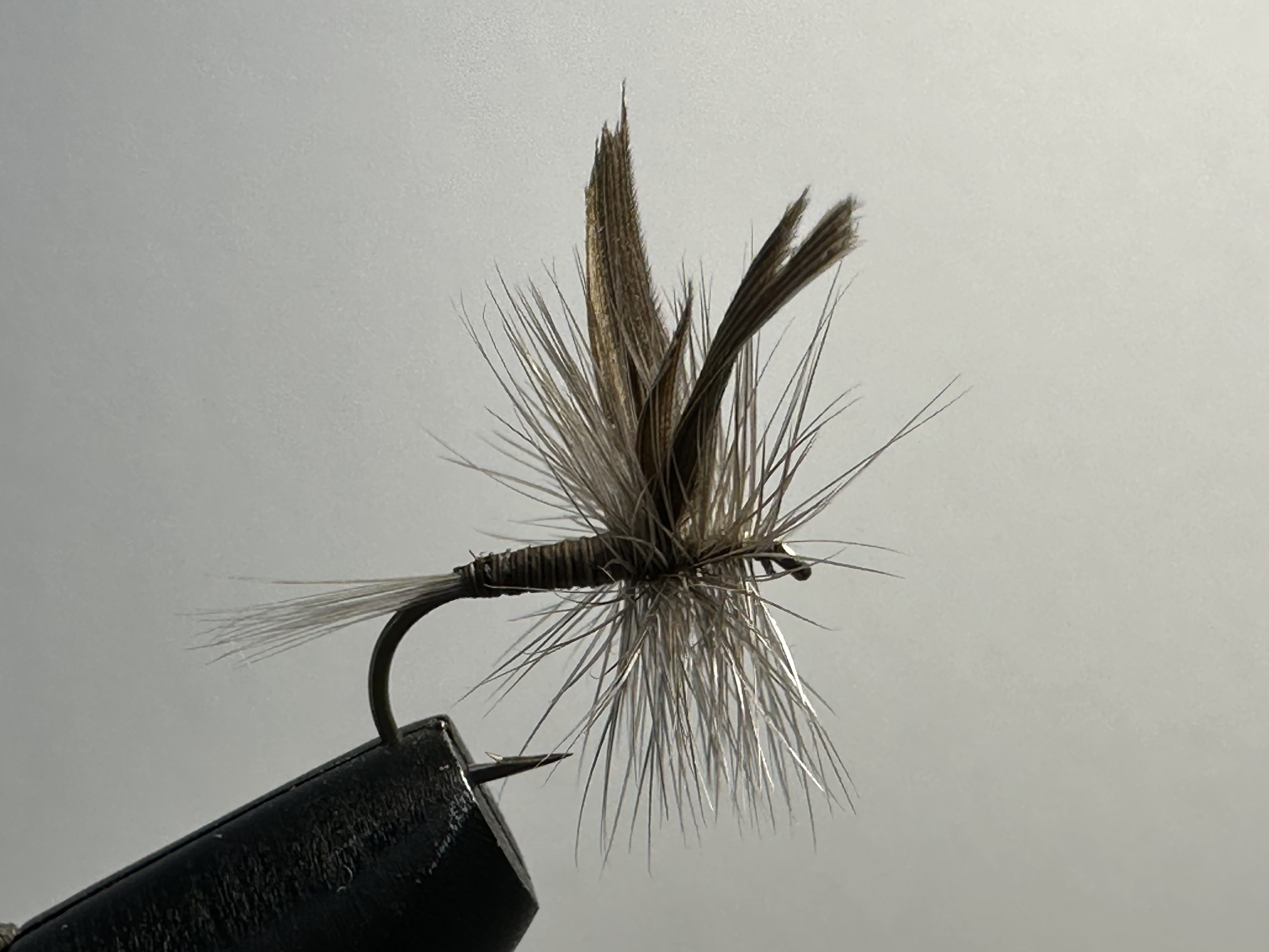 Quill – Rocky Mountain Fly and Feather