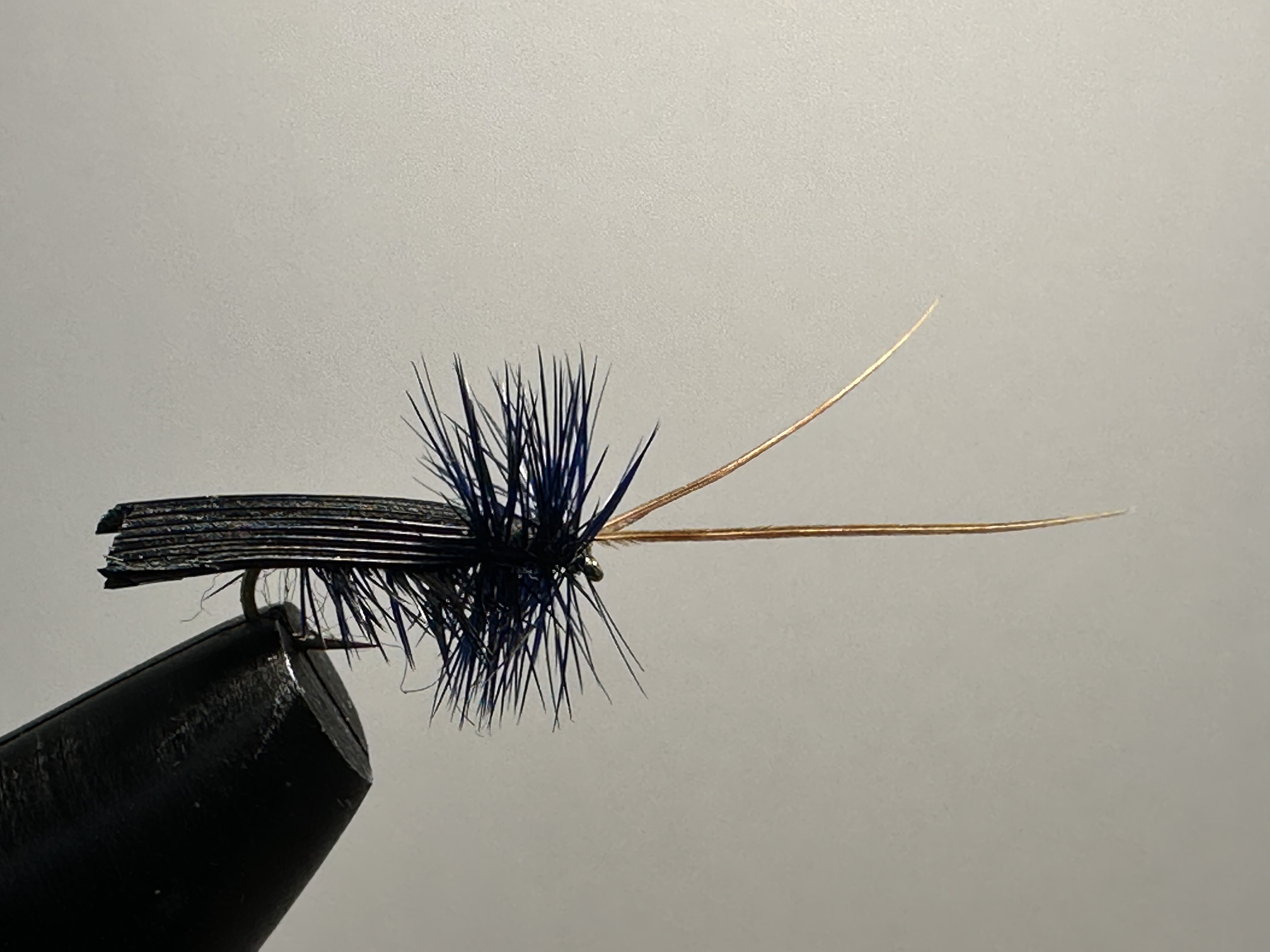 Tent Wing Caddis – Rocky Mountain Fly and Feather